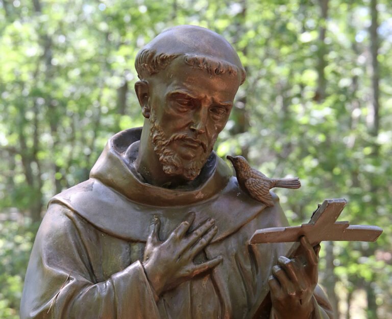 40+ Beautiful Saint Francis Of Assisi Images - Saint Images
