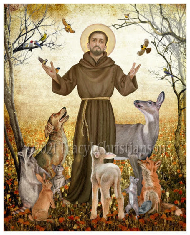 40+ Beautiful Saint Francis Of Assisi Images - Saint Images