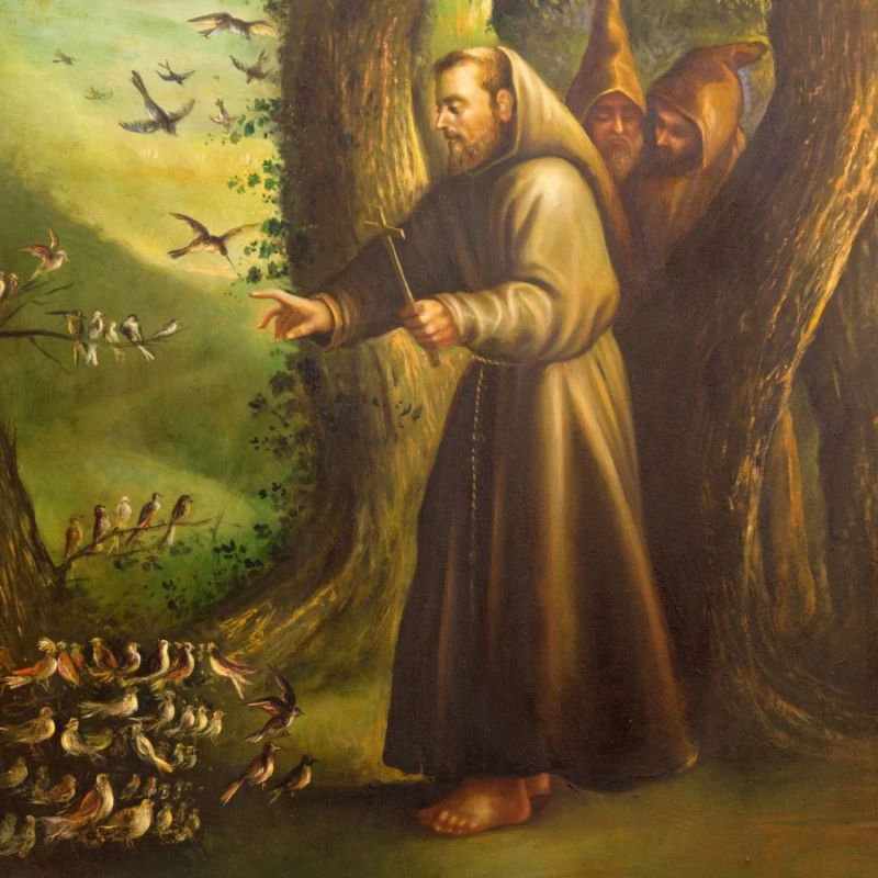 40+ Beautiful Saint Francis Of Assisi Images - Saint Images