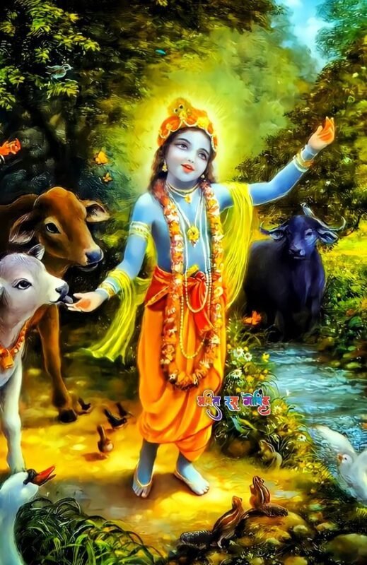 45+ Beautiful Pictures Of Sri Krishna Ji - Saint Images
