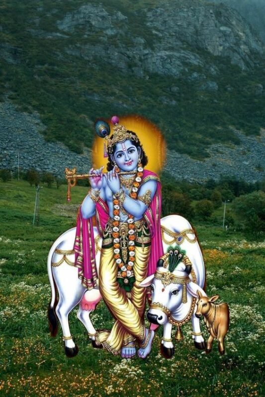 45+ Beautiful Pictures Of Sri Krishna Ji - Saint Images