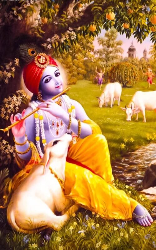 45+ Beautiful Pictures Of Sri Krishna Ji - Saint Images